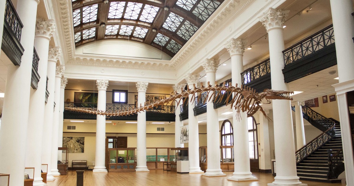 Alabama Museums Association | Find Your Museum